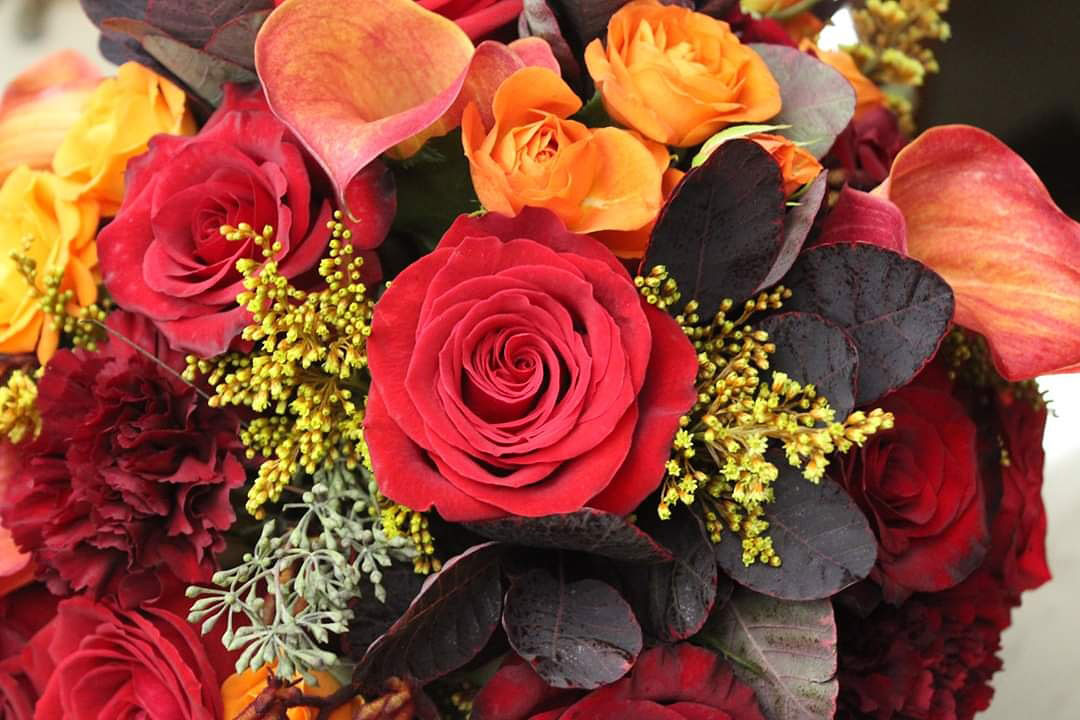 Gallery – Fancy Plants Flowers and Design